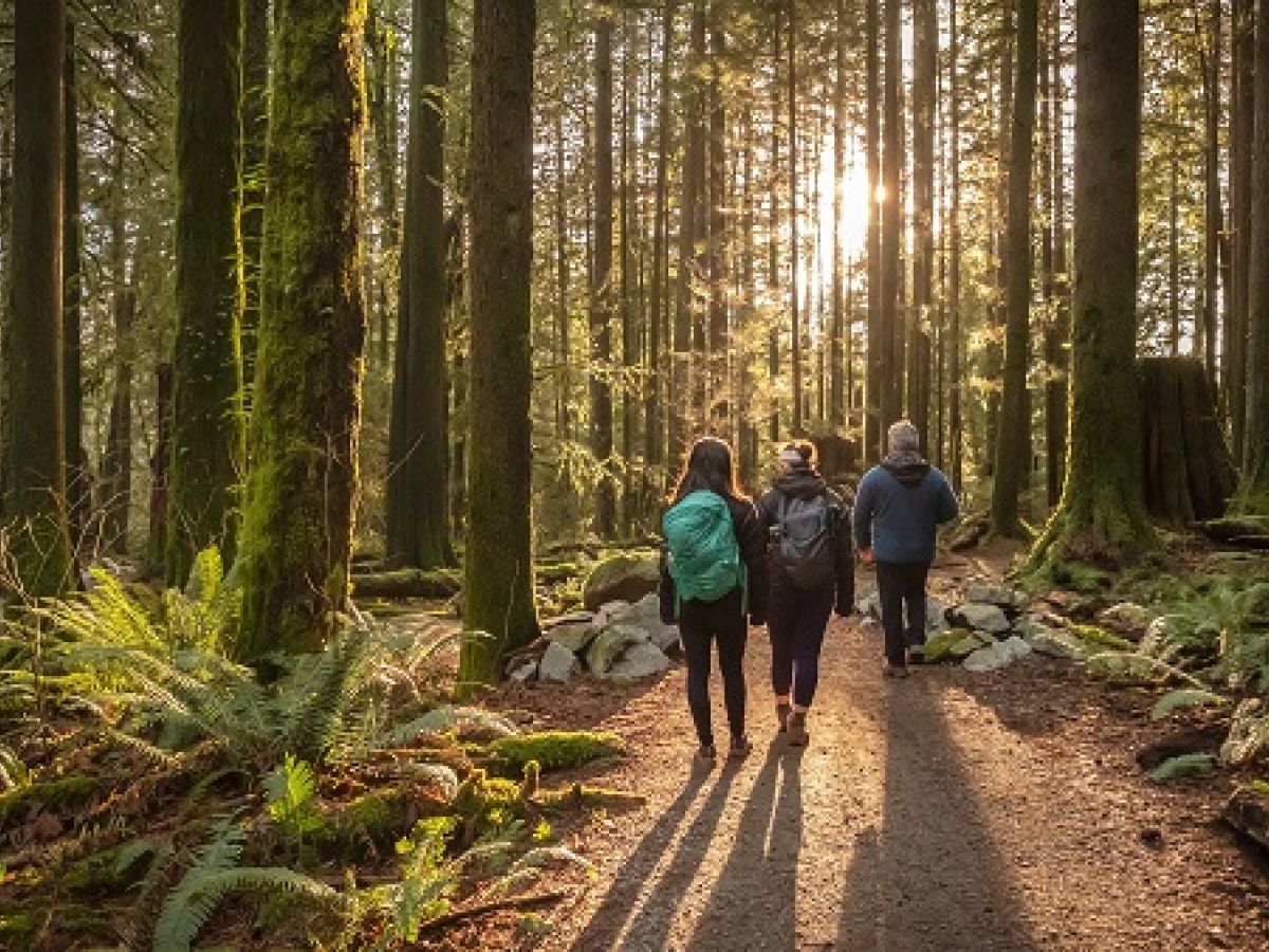 Development Of Soft Skills Via Outdoor Activities Paideia development-of-soft-skills-via-outdoor-activities-paideia